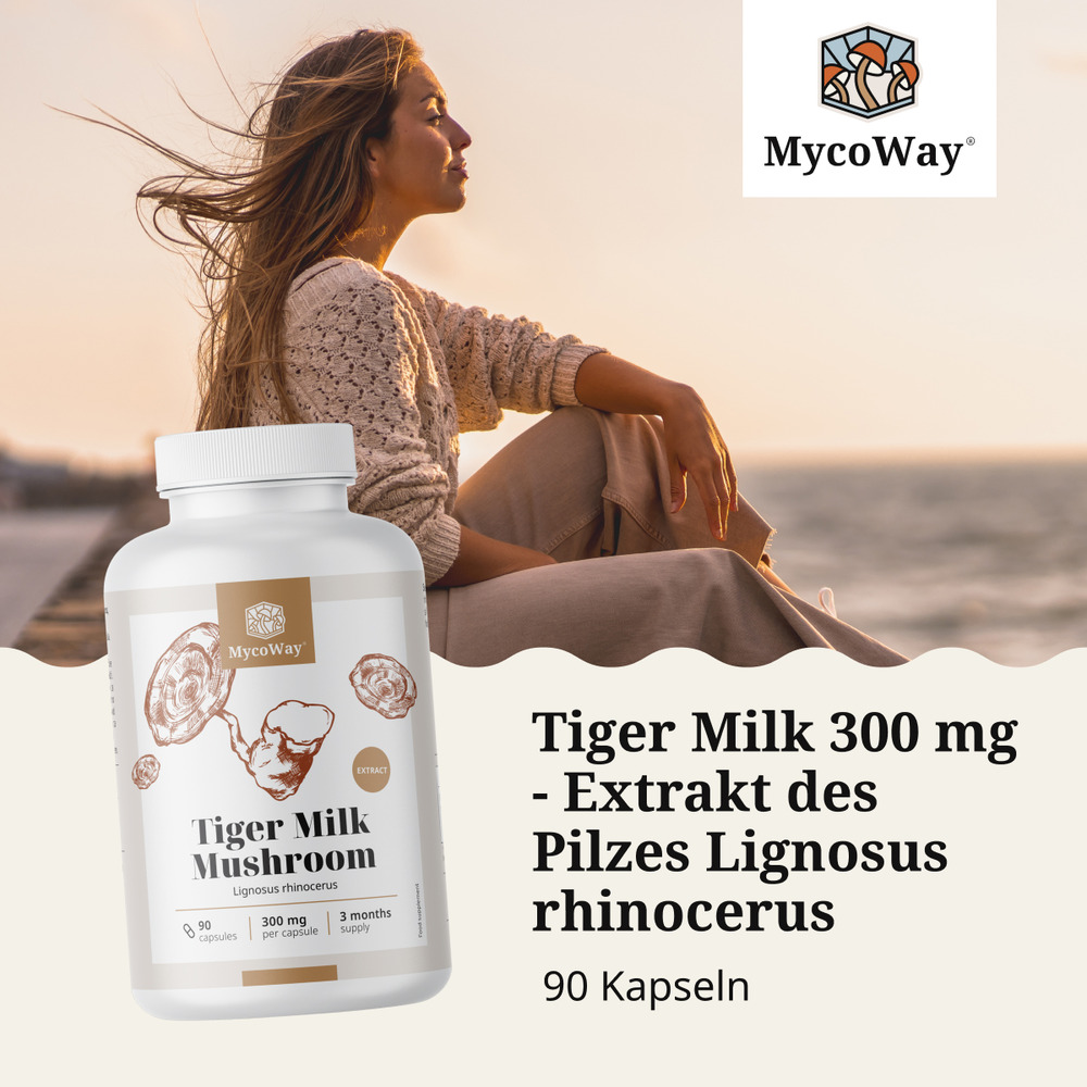 3x Tiger Milk 300 mg - Extrakt des Pilzes Lignosus rhinocerus, zusammen ...