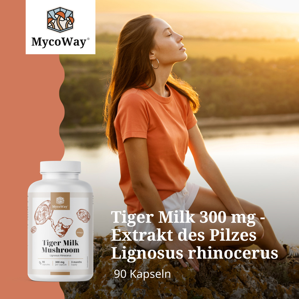 Tiger Milk 300 mg - Extrakt des Pilzes Lignosus rhinocerus, 90 Kapseln ...